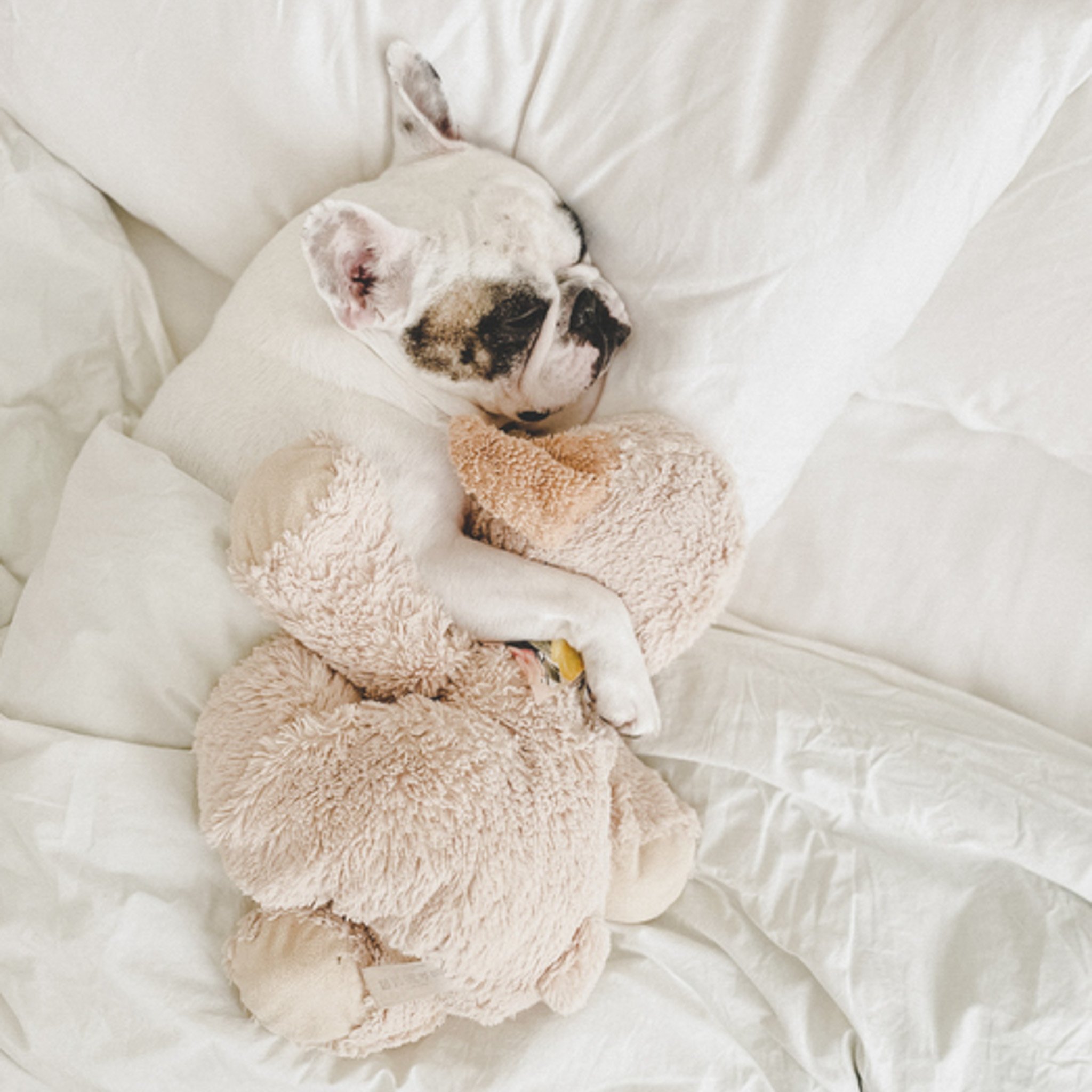 Mattress Care Tips to Keep Cool and Clean All Summer Long – Talsma ...